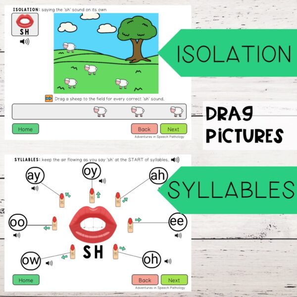 Sh Articulation Boom Cards™ | Fun Therapy Tools