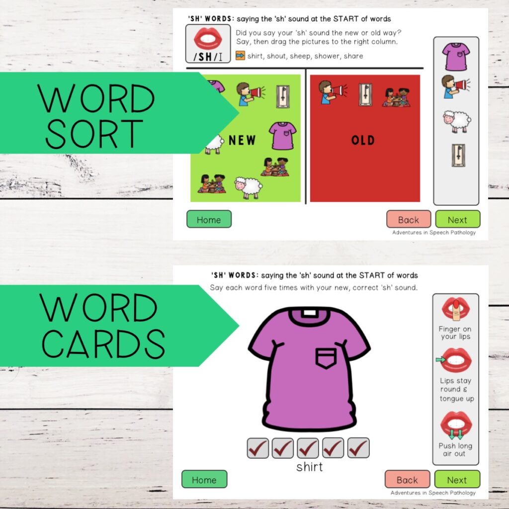 Sh Articulation Boom Cards™ | Fun Therapy Tools