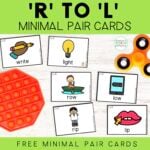 Free R to L Minimal Pair Cards for Therapy