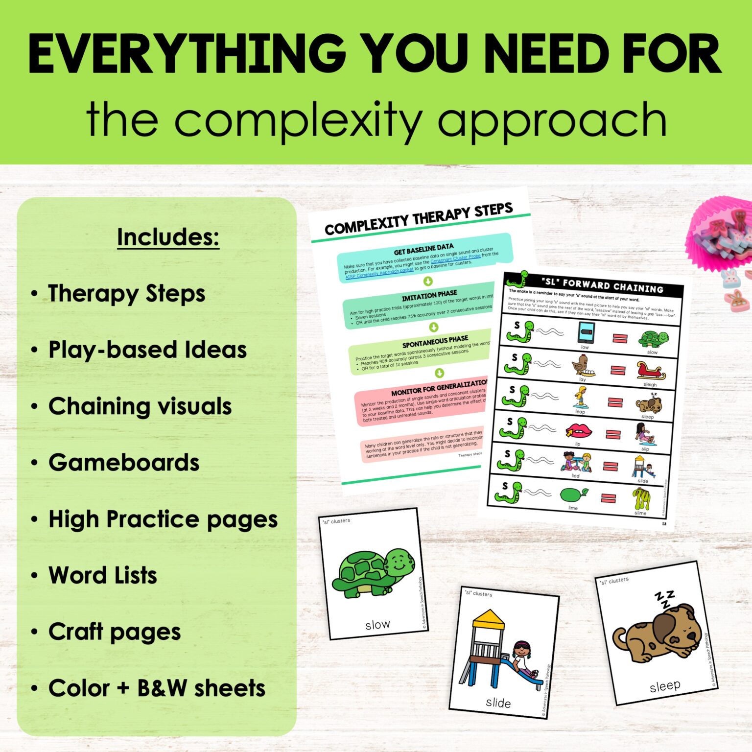 SL Cluster Therapy: Complexity Approach Activities